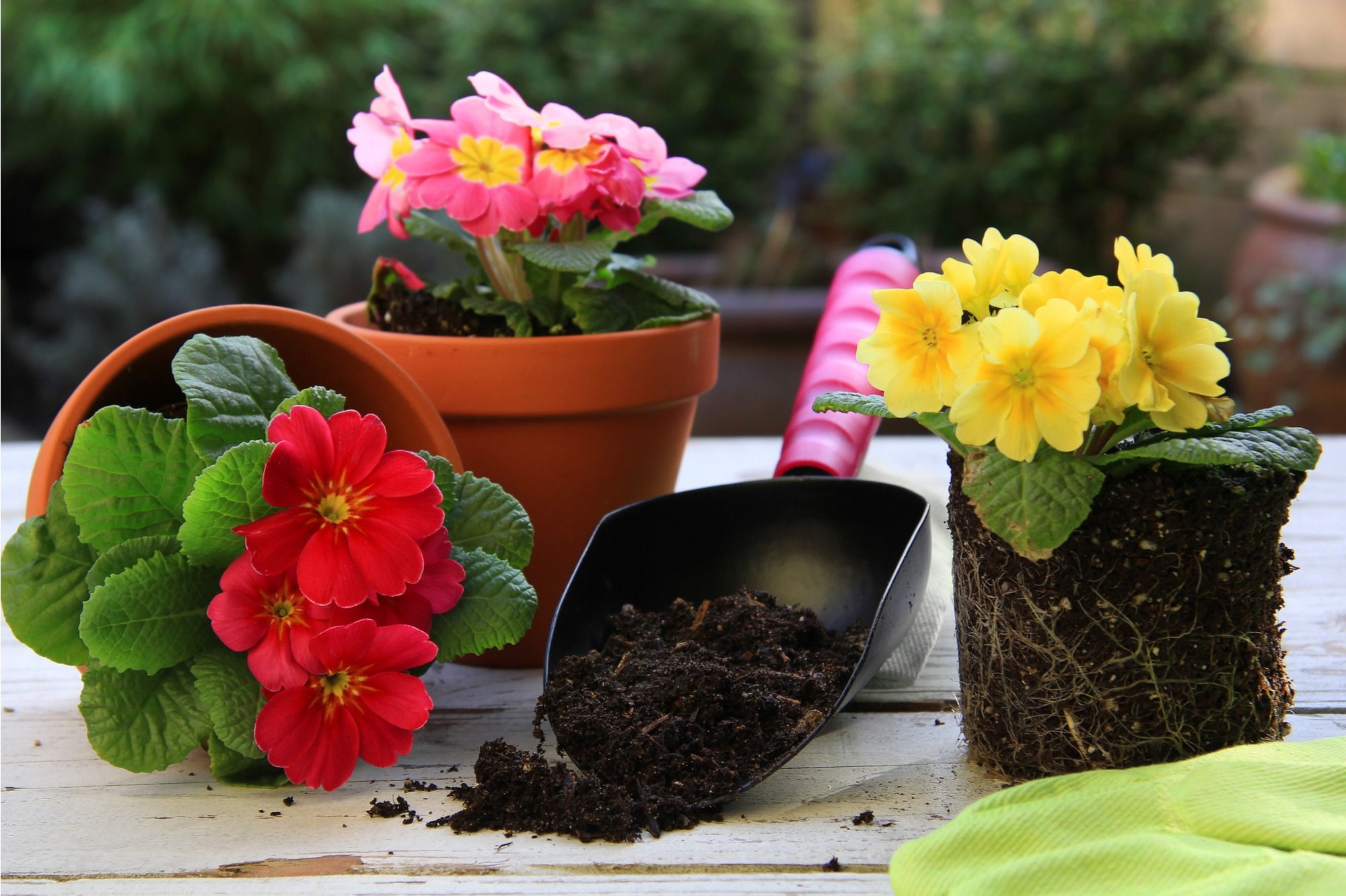 How to Set Up & Use a Potting Bench| Install-It-Direct