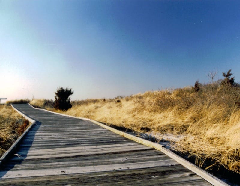 How to Build a Backyard Beach in San Diego | Install-It Direct