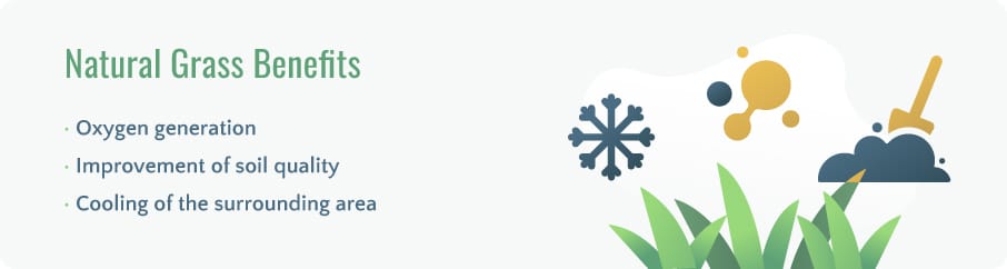 Artificial Turf vs. Grass | Install-It Direct