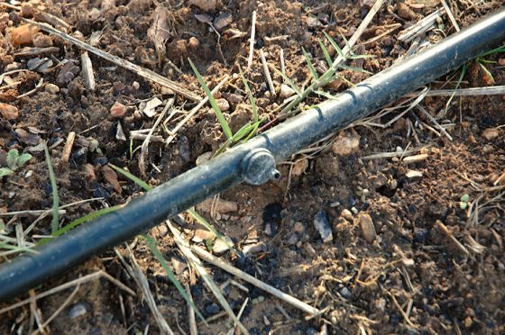 How to Repair Drip Irrigation Tubing | Install-It-Direct