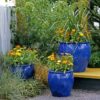How to Choose Pots for a Patio Container Garden (PRO Tips + Ideas ...