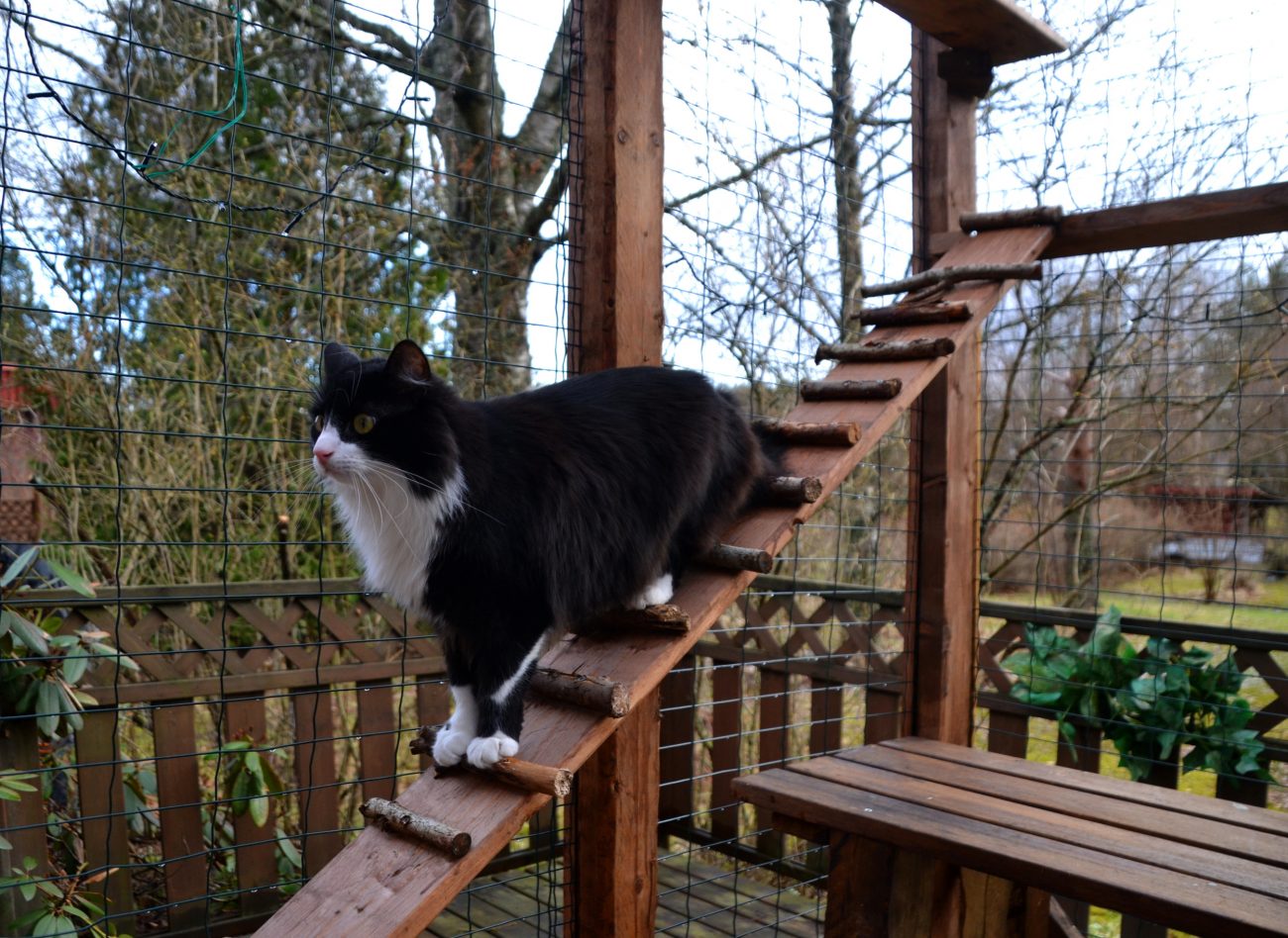 DIY Catio for Your Patio - INSTALL-IT-DIRECT