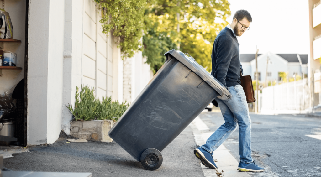 How To Keep Rats Out Of Your San Diego Yard | Install-It Direct